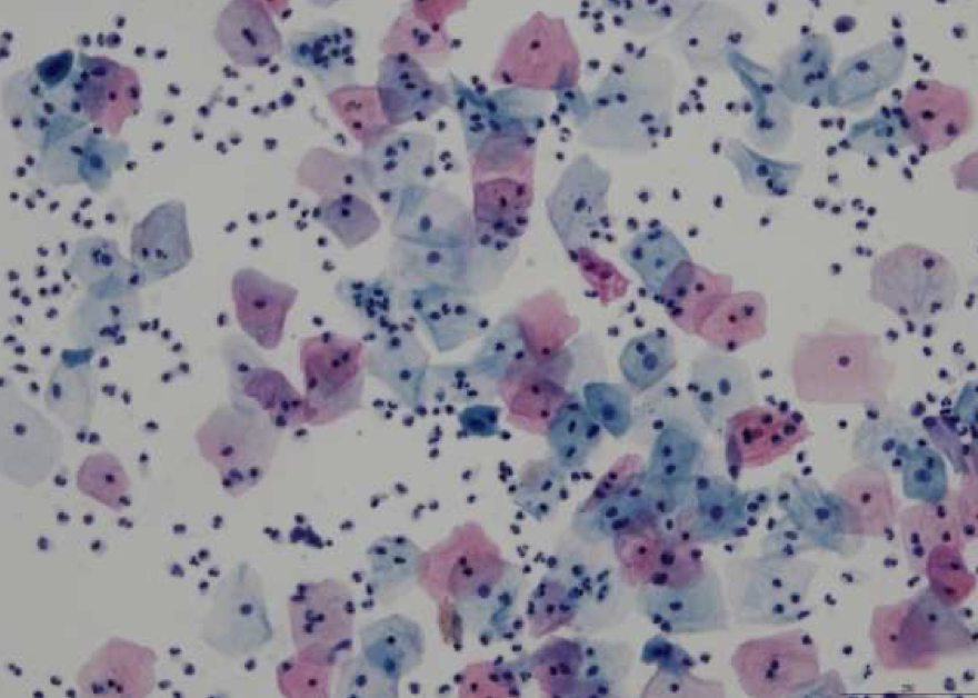 MMCD – IMPORTATION – DISTRIBUTION ET MAINTENANCE